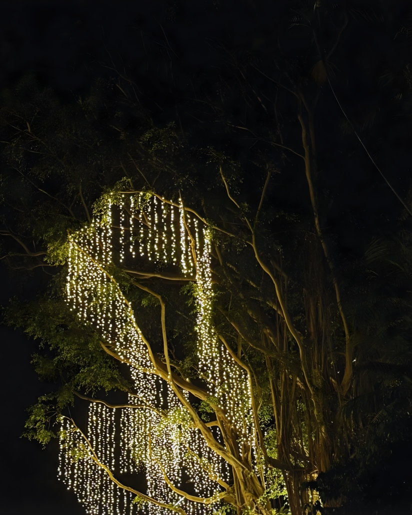 5-Star Shangri-La Rasa Sentosa - Curtain Lights - StarLED Technology